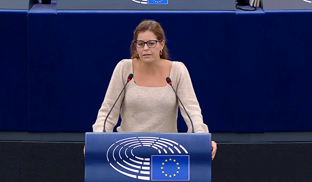 Euroopan parlamentti äänesti: Meppi sai koskemattomuuden - Antifan väkivaltaisen Vasarajengin ...